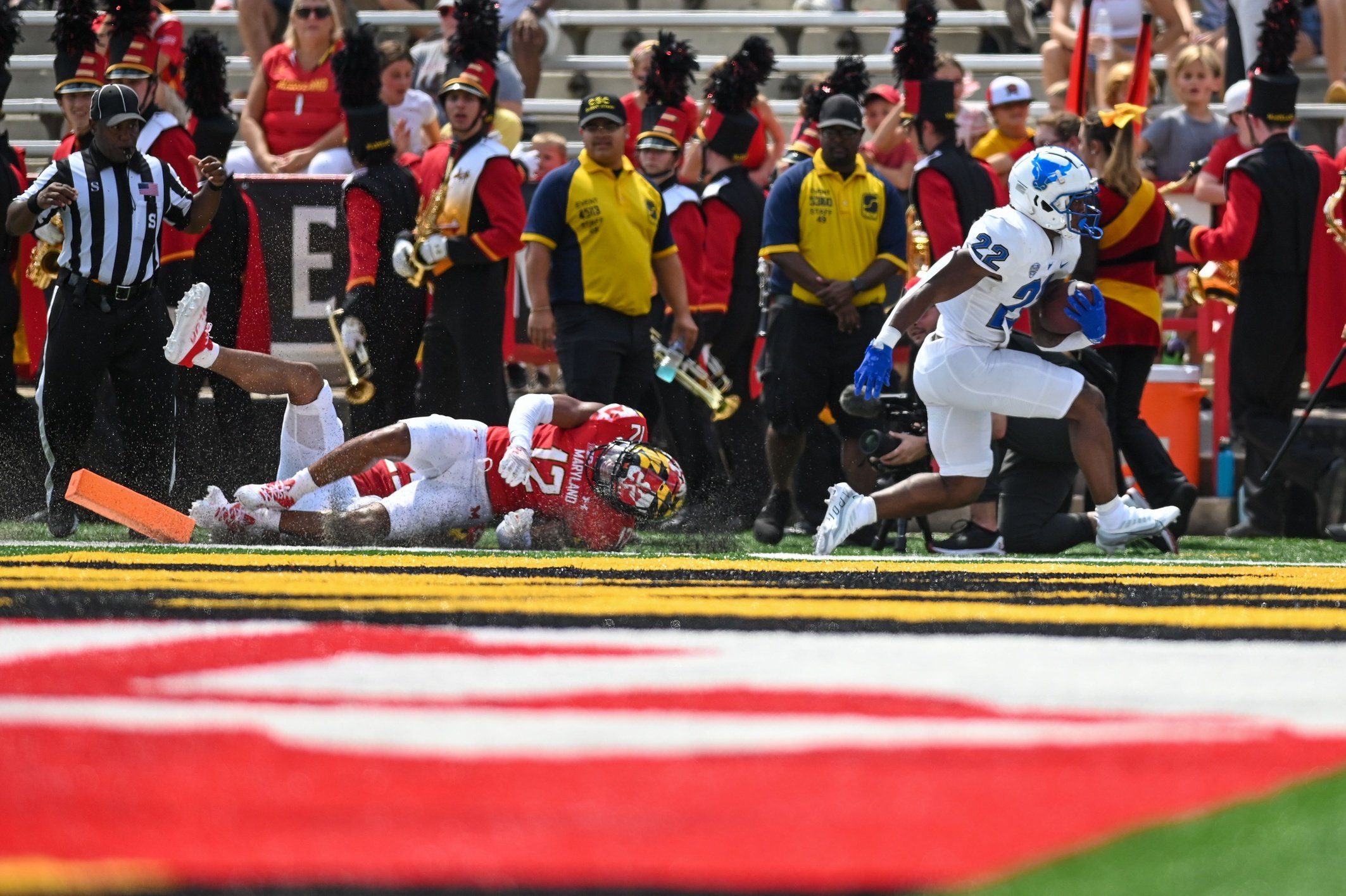 Akron Zips vs Buffalo Bulls Odds, Predictions, and Best Bets for ...